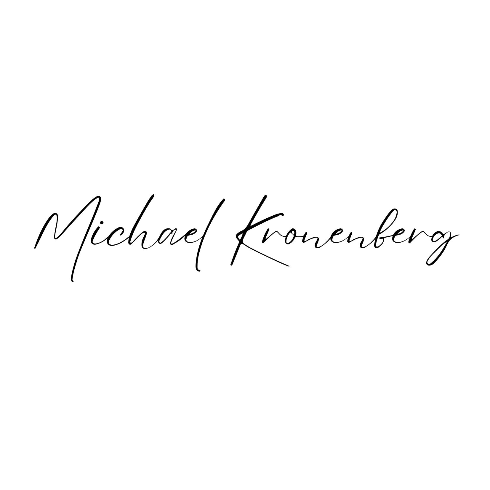 Michael Kronenberg – The Bridge Arts Institute